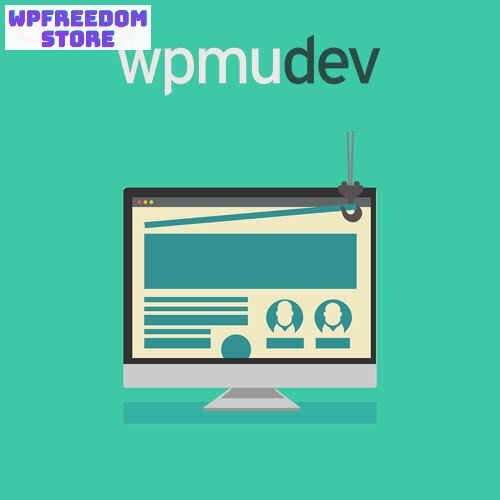WPMU DEV Multisite Theme Manager
